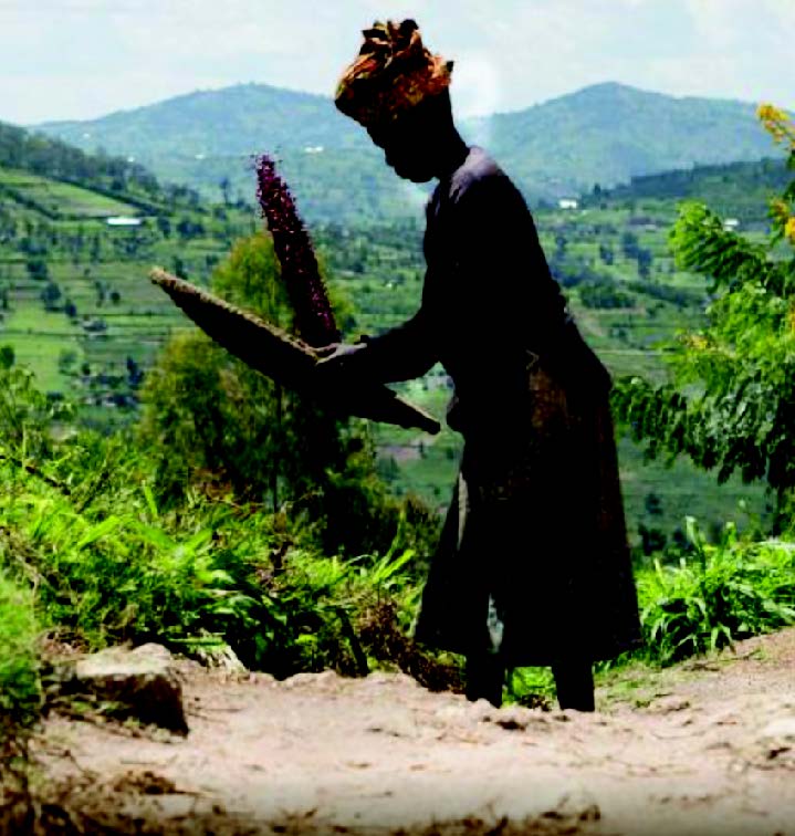 Selected Highlights: International Research Institute for Climate and ...